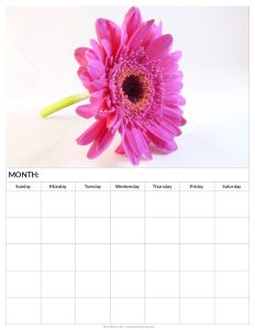 Blank Calendar Printable – My Calendar Land